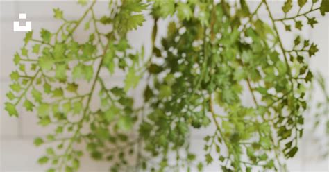 갈색 나무 테이블에 갈색 유리 병 사진 Unsplash의 무료 화장품 이미지