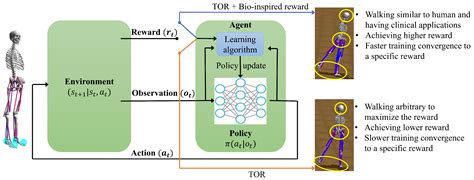Inertia Constrained Reinforcement Learning To Enhance Human Motor