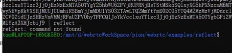 WebRTC学习笔记七 pion webrtc 知乎