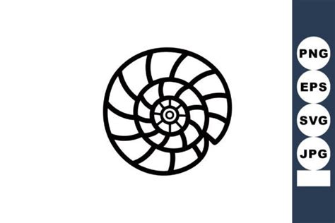 Nautilus Shell Spiral Vector Illustratio Graphic By Mustafa Beksen · Creative Fabrica