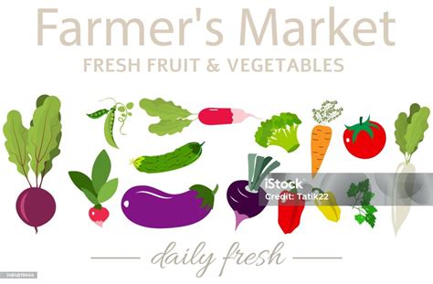 파머스 마켓 포스터 회색 비문과 신선한 밝은 야채 파머스 마켓 포스터 컬렉션 지역 음식 박람회를 위한 벡터 배너 템플릿입니다