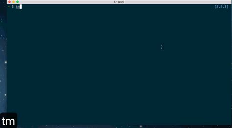 Macos Tmux Loses Ability To Input Text After I Close The Terminal
