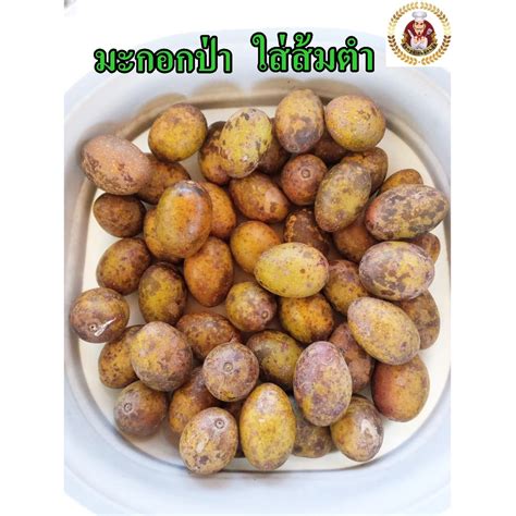 มะกอกป่า ใส่ส้มตำ ลูกใหญ่ 1 2 กิโลกรัม Shopee Thailand