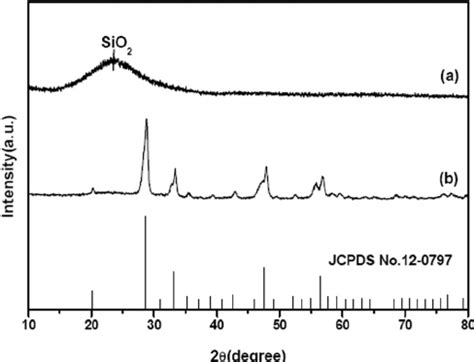 SEM Micrographs Of The As Formed SiO 2 Download Scientific Diagram