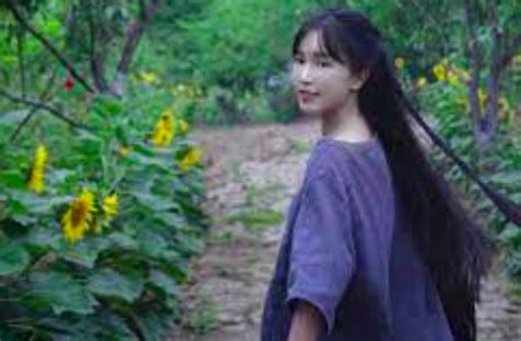 李子柒停更一年躺着年赚千万 八阕