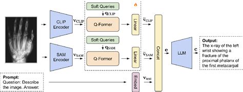 Figure 2 From Sam Guided Enhanced Fine Grained Encoding With Mixed