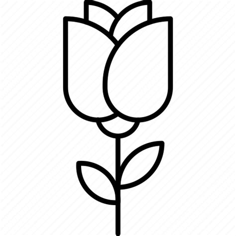 Asset Tulip Rose Flower Plant Tulip Bud Icon Download On Iconfinder