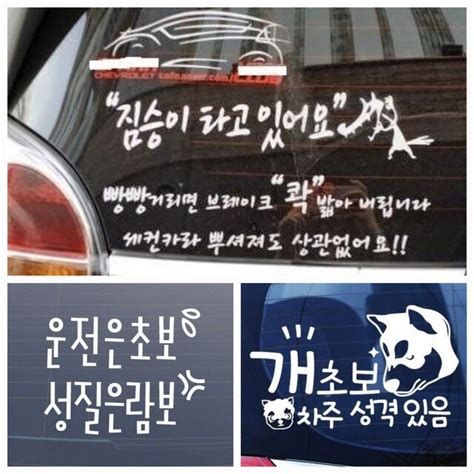 배려 아닌 짜증 유발 초보운전 표지규격화는 어떨까요 네이트 뉴스