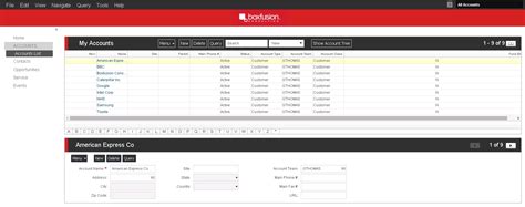 Siebel Crm Ip2014 Custom Theme Reborn Boxfusion