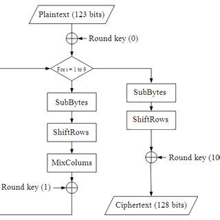 AES Algorithm Structure The AES Algorithm S Internal Operations Are