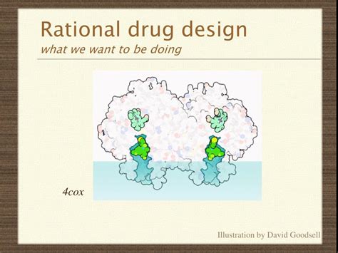 Ppt Macromolecular Structures A Users Perspective Powerpoint Presentation Id 3607167