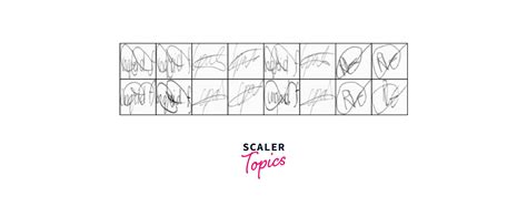 Siamese Networks Scaler Topics