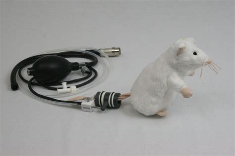 Rodent Manual Nibp System Iworx Systems Inc Rodent Manual Nibp System Iworx Systems Inc