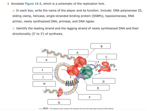 Solved 1 Annotate Figure 165 Which Is A Schematic Of The