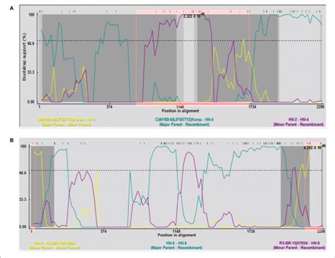 Recombination Analysis Of The A Hn 4 Strain And B Hn 8 Strain