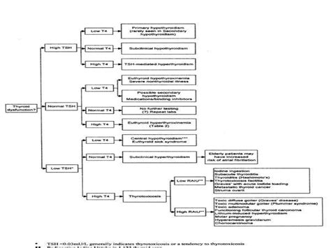 Thyroid Function Tests Pptx