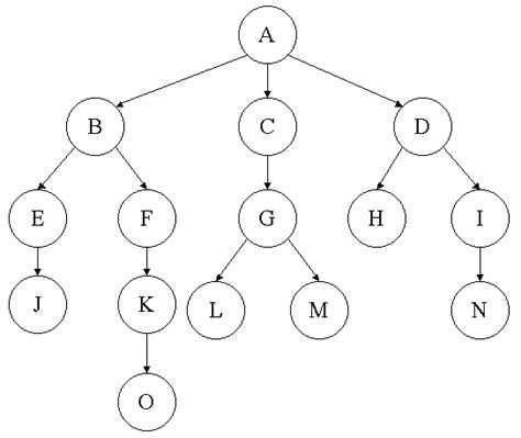 搜尋演算法 search algorithm mick jung yi lin phd