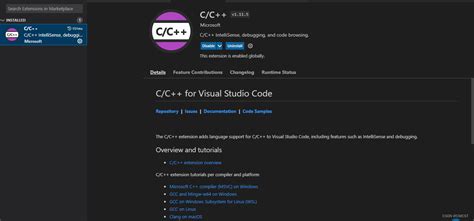 VSCode配置C 环境g 篇 vscode g CSDN博客