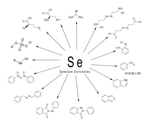 selenium derivatives eburon