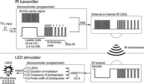 Schematic Diagram Of The Wireless Led Stimulating System When A Ttl