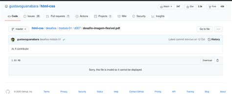 desafios e pdf das aulas apresentam errro de que o arquivo esta invalido · issue 65