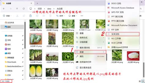 使用批处理脚本修改指定文件夹可包含子目录中的文件名后缀 小白哇咔 博客园 使用批处理脚本修改指定文件夹可包含子目录中的文件名后缀 小白哇咔 博客园