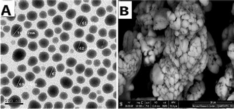 High Resolution Transmission Electron Microscope A And Scanning Download Scientific Diagram