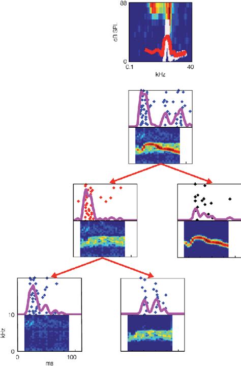 The Frequency Response Area Of A Neuron In Cat Primary Auditory Download Scientific Diagram