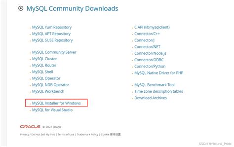 Javaweb基础入门——mysql数据库安装配置教程java Mysql安装教程 Csdn博客