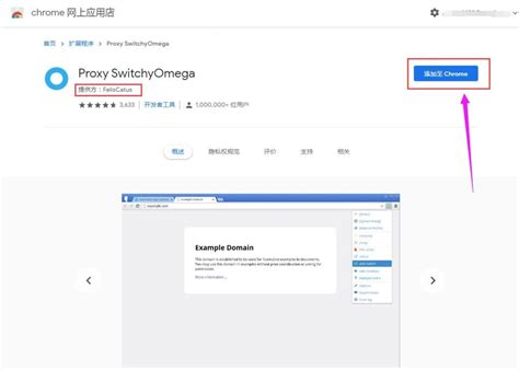 Proxy SwitchyOmega 教程 快速使用 proxy switchyomega 代理插件 James Daily Life