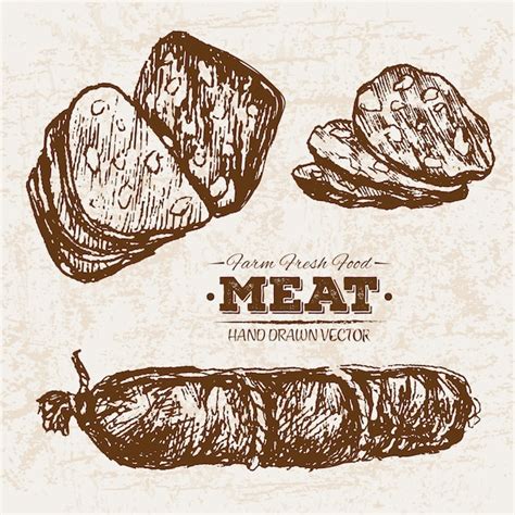 손으로 그린 육류 제품 프리미엄 벡터