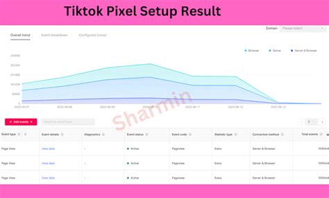 Setup Meta Facebook Pixel Conversion Api Tiktok Pixel Fix Pixel Wordpress By Sharminakter