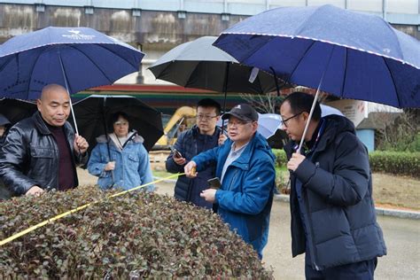 国家林草局验收组来开化验收诗画浙江大花园核心区国土绿化试点示范项目 开化新闻网