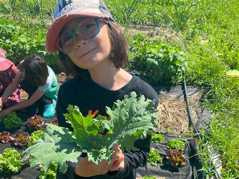 Processing Toolkit Salvation Farms