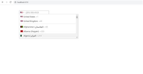 Angular 17 Input Type Phone Number With Country Codes And Country Flags Working Example