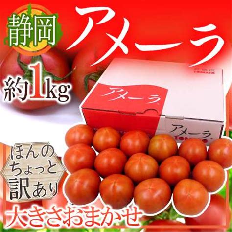 静岡県 ”高糖度フルーツトマト アメーラ” 大きさおまかせ 約1kg ほんのちょっと訳あり 化粧箱入り【予約 入荷次第発送】の通販はau