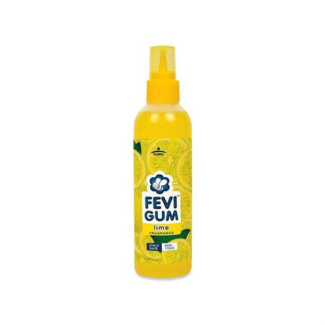Pidilite Fevi Gum At Best Price In Coimbatore By Sri Maruthi Tools And