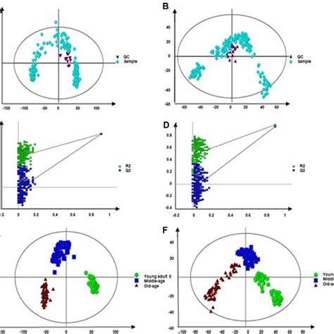Pca Scores Plot And Validation Plot Of Permutation Testing Of Pls Da