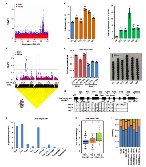 分子育种指南 性状关联及核心标记开发 知乎