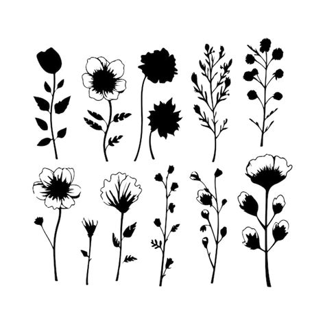 Decorative Floral Collection Sketch Design Generative Ai Premium Ai Generated Vector