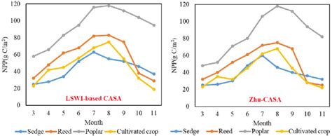 Monthly Npp Value Of Different Vegetation Types Based On Two Casa Models Download Scientific