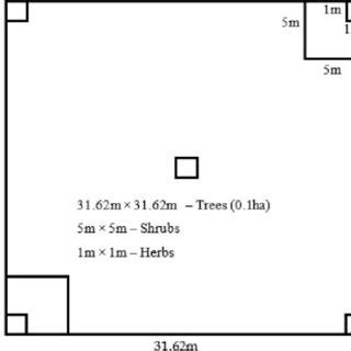 The Field Sampling Plot Design Download Scientific Diagram