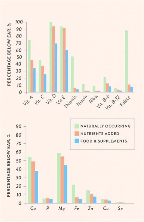 The Importance Of Nutrient Density The Paleo Mom