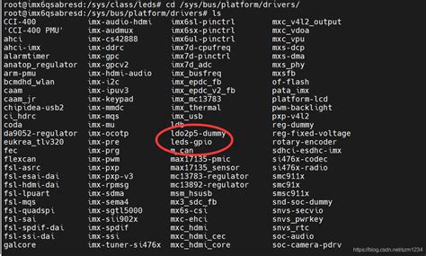 Linux Led子系统调试与应用 设备树官方文档与 Gpio Ledsc 源码详解retain State Suspended Csdn博客