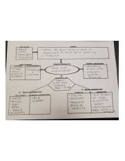Concept Maps Fractures RISK FACTORS Blood ETIOLOGY Clots When The Lince Joint Is Worn