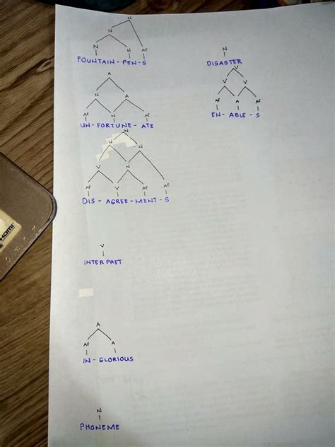 Solved Exercise Draw A Morphology Trees And Morphological Description Course Hero