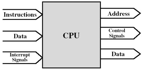 Interconnection Structures In Computer Organization Bench Partner