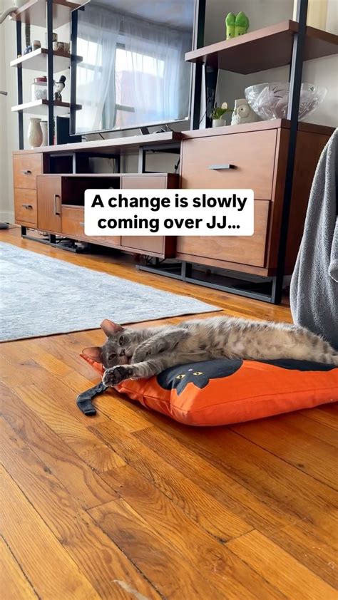 Officially Introducing Spock While It Might Seem Like I Just Did What The Internet Told Me To