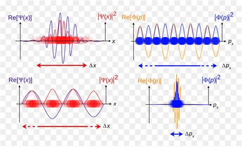 quantum wave function hd png download vhv