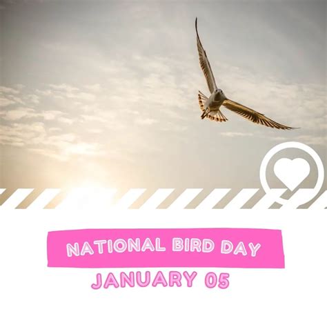 National Bird Day 2025 Sue Dickens